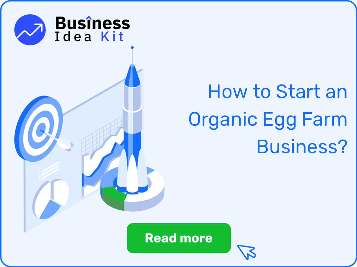 How to Start an Organic Egg Farm Business Successfully?