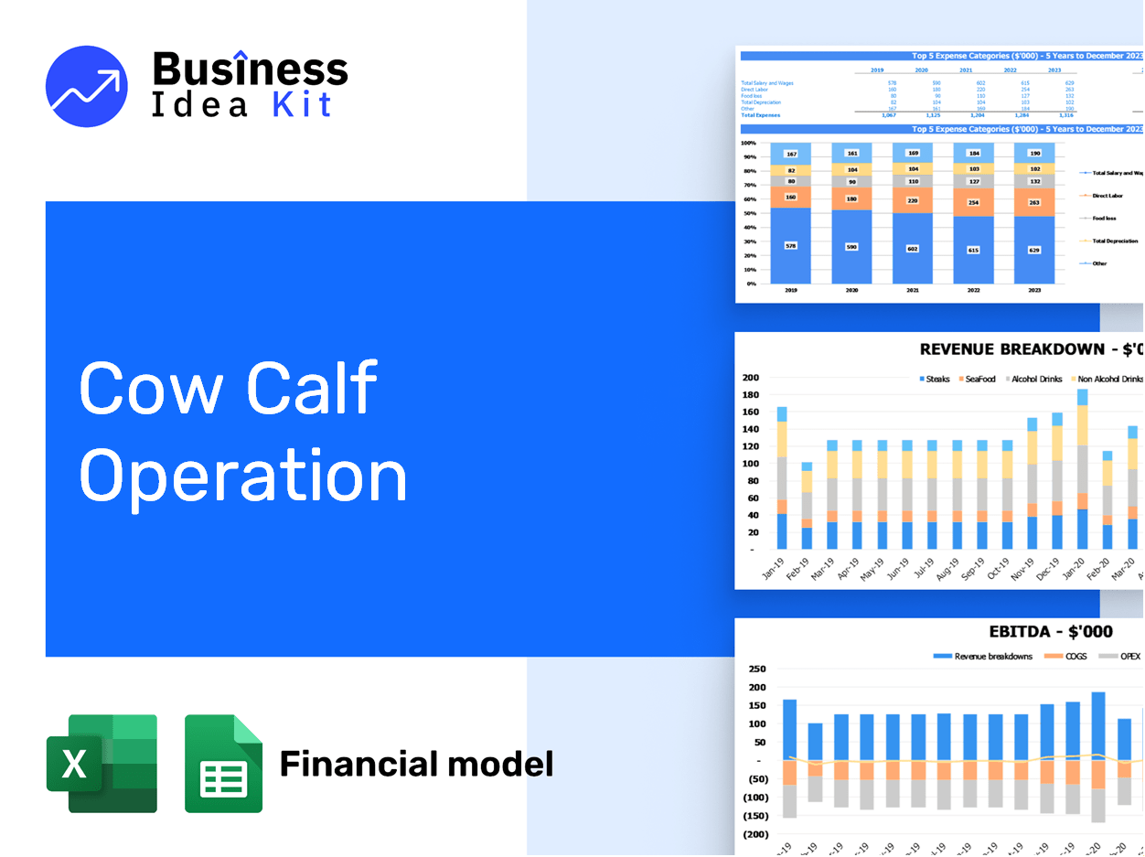Cow Calf Operation Financial Model Example
